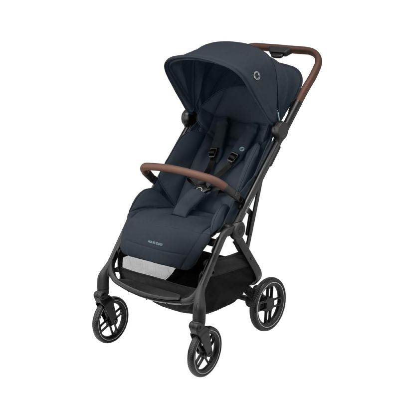 Buggy Bis 25 Kg Testsieger